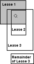Understanding Multiple Leases