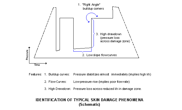 Identification of Typical Skin Damage Phenomena